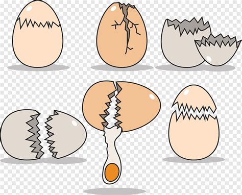 깨진 계란 세트 Png Pngwing
