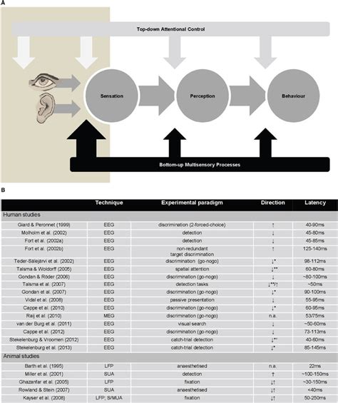 A Depiction Of Manners In Which Top Down Attentional Control And Download Scientific Diagram