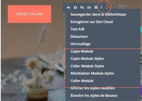 Paramétrer Les Boutons Wordpress And Divi Tutoriel