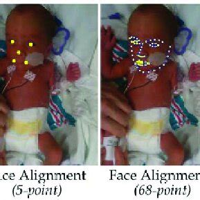 Face Detection Techniques Download Scientific Diagram