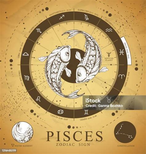 점성술 물고기자리 조디악 기호 빈티지 마법 마술 카드 사실적인 손 그리기 잉어 피쉬 일러스트 조디악 특성 0명에 대한 스톡 벡터 아트 및 기타 이미지 Istock