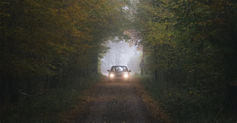 4k Bmw Hd 가을 경치 경치가 좋은 계절 고요한 길 나무 나뭇잎 단풍 대기의 도로 독일 독일 숲