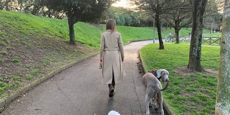 Testimonio De Cirug A Adr En Paciente De A Os