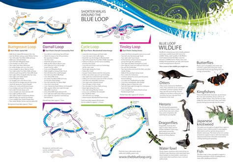 A Sick Logic There Are No Firm Rules Platform Residency Friends Of The Blue Loop A Visit