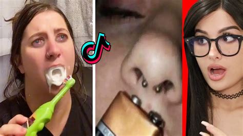 The Cutest Animals On Tik Tok Sssniperwolf Animal The Cutest