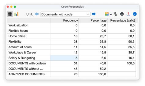 Code Frequencies Maxqda