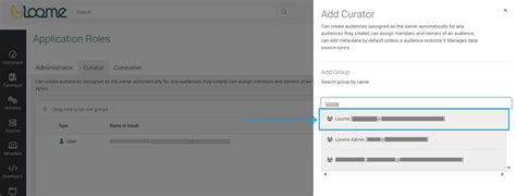 Application Roles Loome Documentation