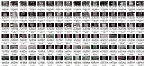 基于yolov8深度学习的农作物幼苗与杂草检测系统【python源码 pyqt5界面 数据集 训练代码】深度学习实战、目标检测 阿里云开发者社区