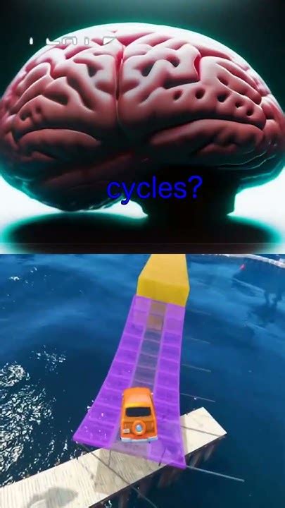 Brain Function While Sleeping 🛌 😴 Sleep Bedtime Brain Youtube