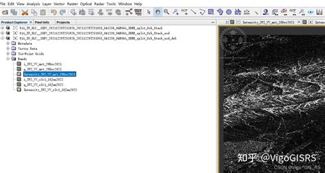 在snap中用sentinel 1数据做dinsar测量 以门源地震为例 知乎