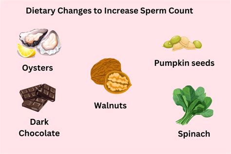 How To Increase Sperm Count Boost Male Fertility