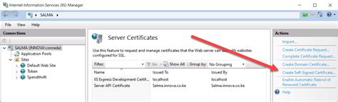 Using Iis With Aspnet Core 30 Conrad Akunga Building Software In Net