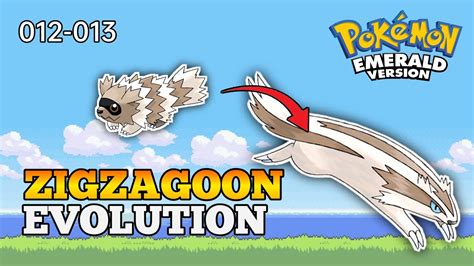 How To Evolve Zigzagoon Into Linoone In Pokemon Emerald Hoenn Pokedex YouTube