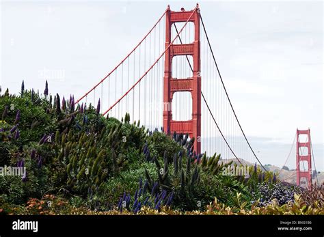Low Angle View Of A Suspension Bridge Golden Gate Bridge San