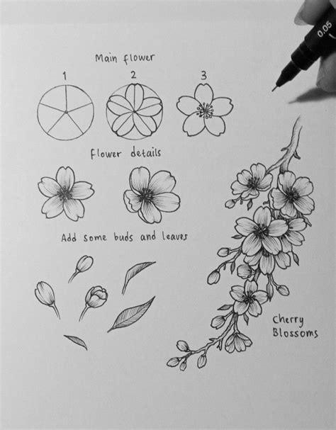How To Draw Flowers Step By Step Artofit