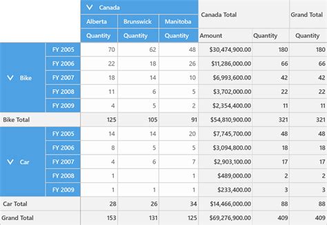 Display Options In UWP Pivot Grid Control Syncfusion