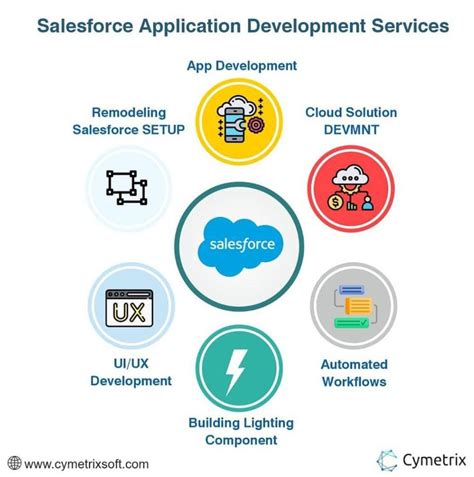 Salesforce Application Development Services Salesforce Developer