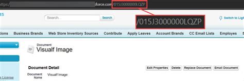 How To Embed An Image In Salesforce Visualforce Pages