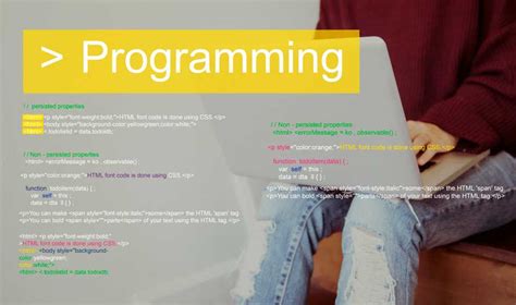 Dominando La Programación Un Viaje Profundo Al Mundo De Las Variables