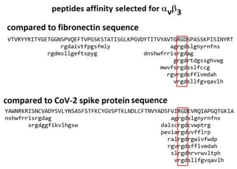 Fig N 27 From Biological And Clinical Consequences Of Integrin Binding Download Scientific