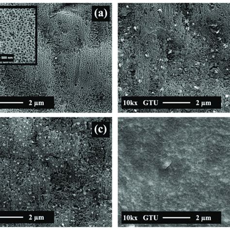 Measurement Scheme Of A Pristine Tio 2 Nanotubes Nts And B Co 3 O Download Scientific