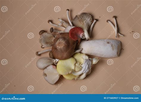 Types Of Mushroom Picture With A Dark Background Stock Image 271603927