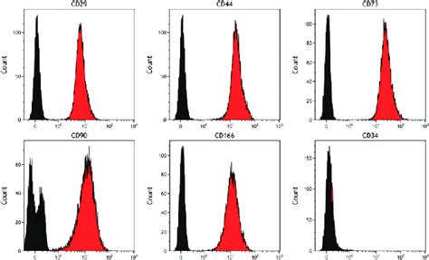 Representative Histograms Showing Cell Surface Marker Expression By Download Scientific Diagram