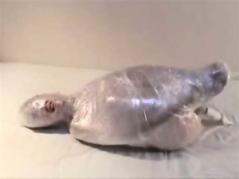 Cocoa Soft Saran Wrap Kinky4ever Eporner