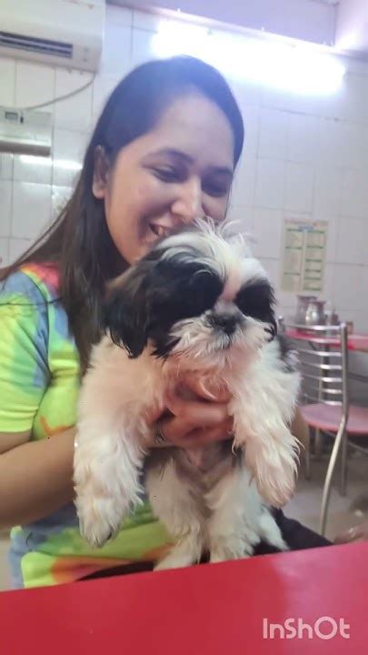 Day No 2 Of 30dayschallenge Youtubeshorts Viralshort