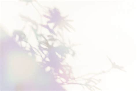 유토이미지 컬러풀한 식물 그림자