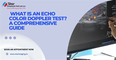 What Is An Echo Color Doppler Test Comprehensive Guide