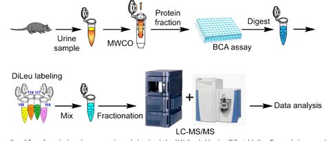 Figure 1 From Quantitative Proteomic Analysis Of A Genetically Induced Prostate Inflammation