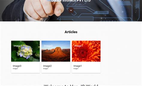How To Develop A Website Using Vuejs With Drupal8 Douce Infotech