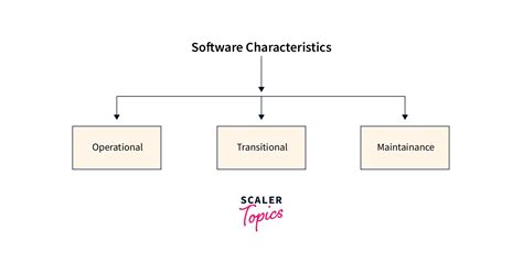 What Is Software Engineering Scaler Topics