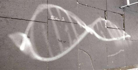 Original X Ray Diffraction Pattern Of Dna Obtained By Rosalind Franklin 1952 R Fakehistoryporn
