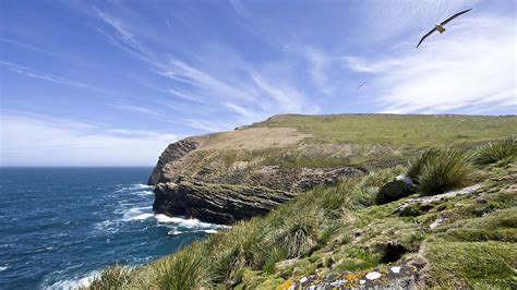 Falkland Islands Wallpapers Wallpaper Cave