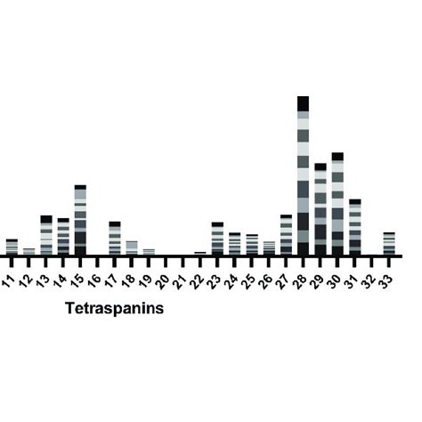 Superimposition Of Alphafold Predicted Structures Of Tspan3 Tspan13