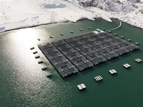 Renewables Overtake Fossil Fuels In Eu Power Generation Euractiv