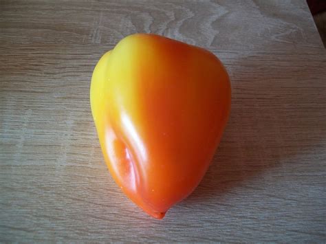 Vegetable Bell Pepper Free Photo On Pixabay Pixabay