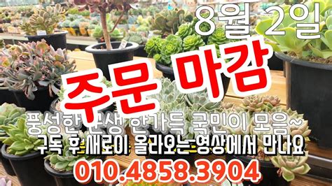 8월2일 풍성한 군생 한가득국민이 55여종 모음 카드결제가능 전국택배가능 분채배송 01048583904 Youtube