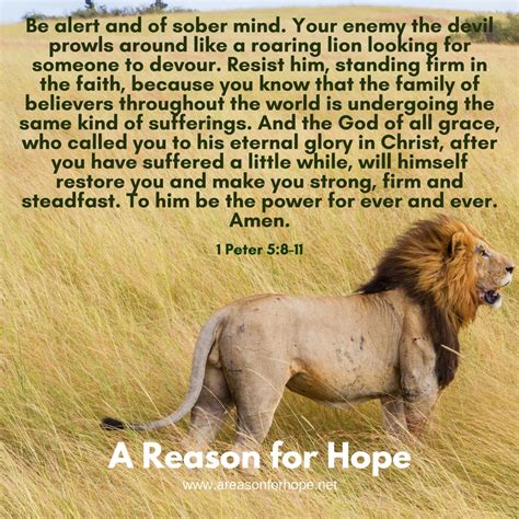 1 Peter 58 11 — A Reason For Hope With Don Patterson
