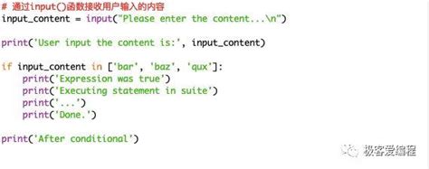 趣学python第十二课python中的条件语句 少儿编程