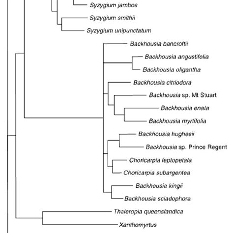 Dendrogram Of Figure From The Paper By Harrington Et Al Download Scientific