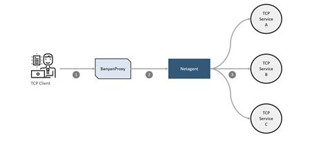 Tunnelling To A Collection Of Tcp Services Sonicwall Cloud Secure Edge Documentation