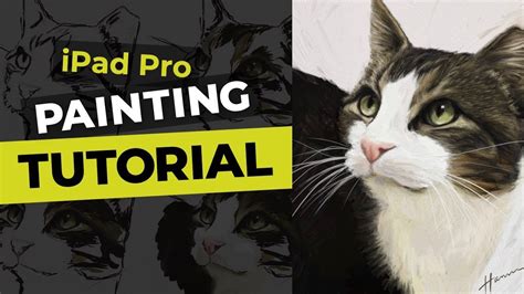 Python Program To Count The Number Of Words In A File Codevscolor