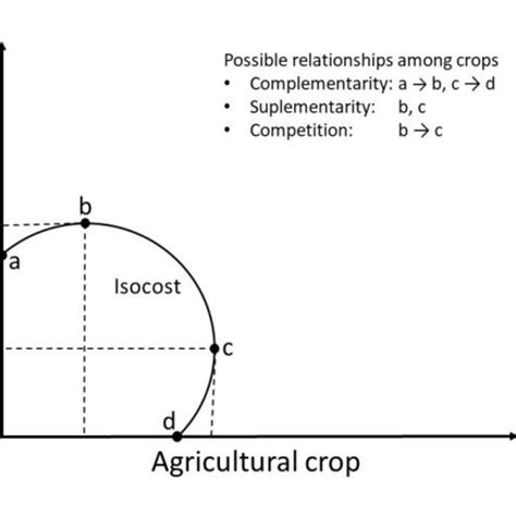 Isocost Curve For The Joint Production Of Timber And An Agricultural Download Scientific