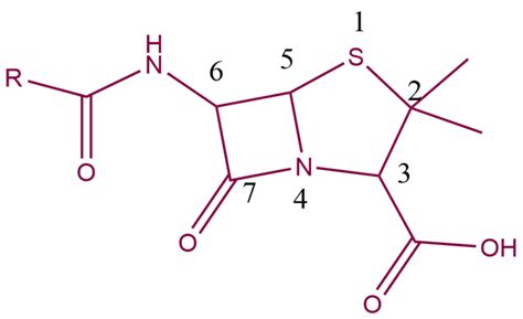 Penicillin Types Structure Activity Relationship