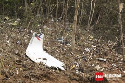 东航mu5735遗体残骸 东航客机坠毁事故 伤感说说吧