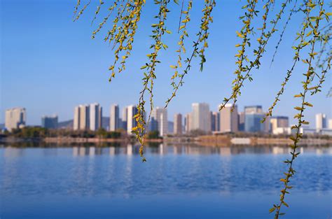 每日玉景丨春来发几枝