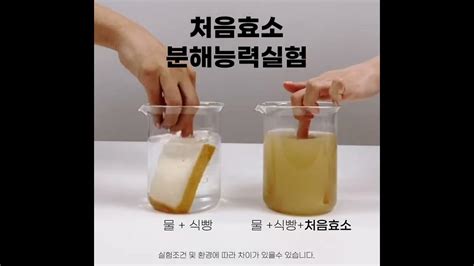 처음효소 분해실험 세로 Youtube